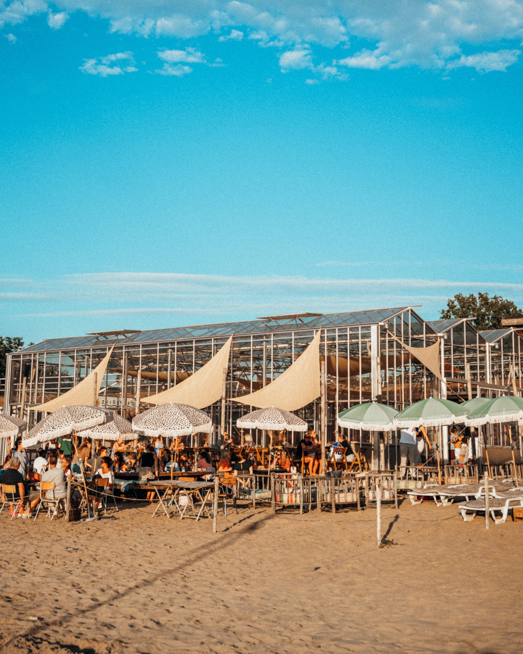 Zomerbar - Zuiderbad : Zuiderbad